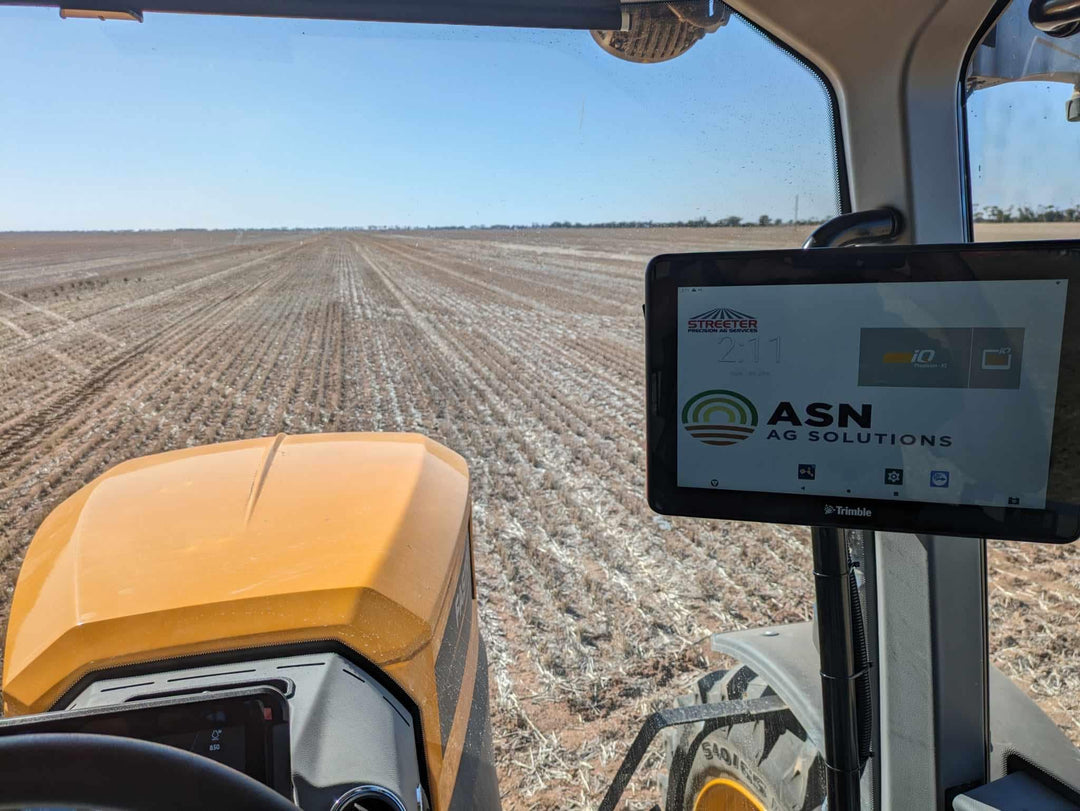 LOCAL DEALERS – MURDA